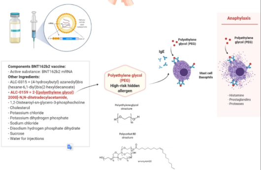 ALC-0159とは【2-[(ポリエチレングリコール)-2000]-N,N-ジテトラデシルアセトアミド】添加物解説 | Genussmittel公式